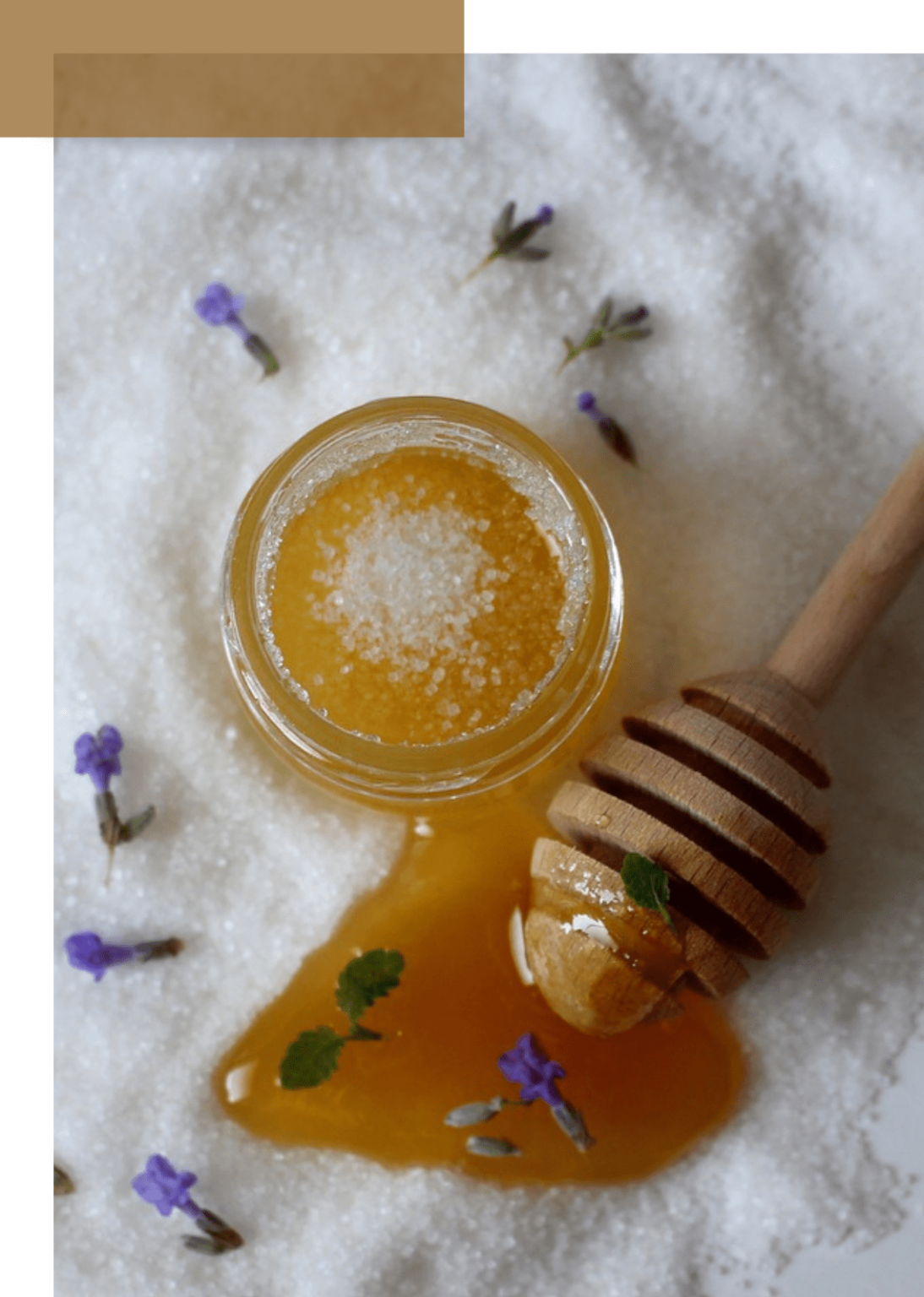 Honig: Das goldene Elixier der Natur - DE | MR Congress & Incentive GmbH